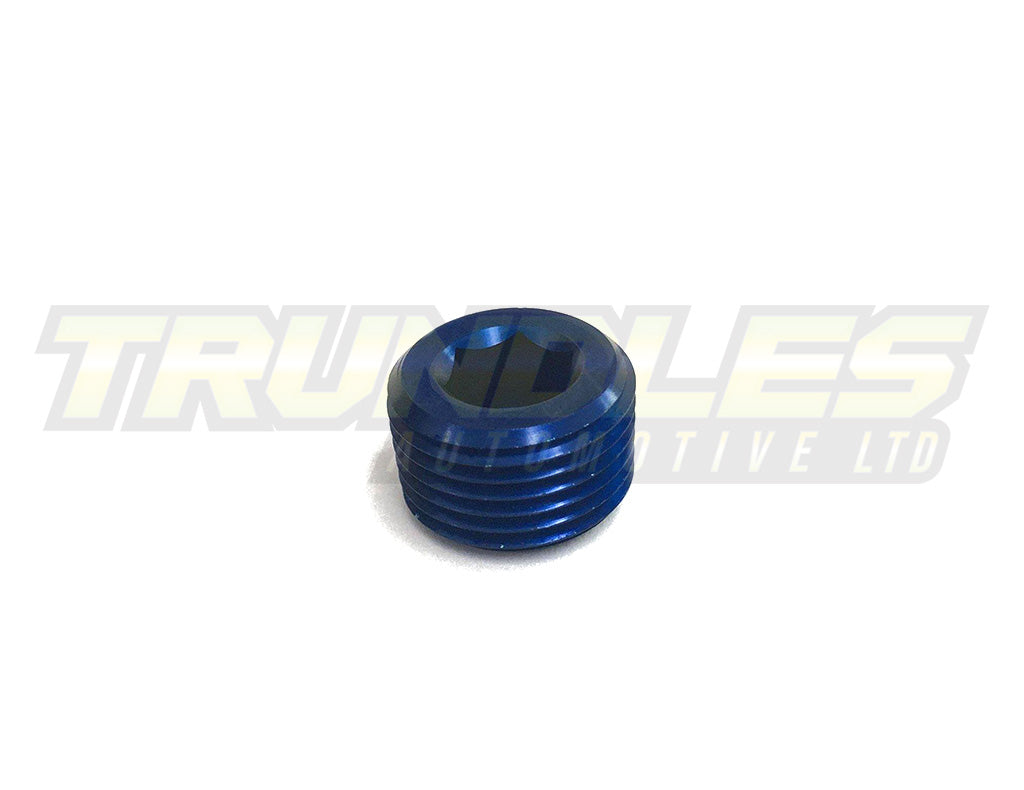 1/2" NPT Allen Head Pipe Plug